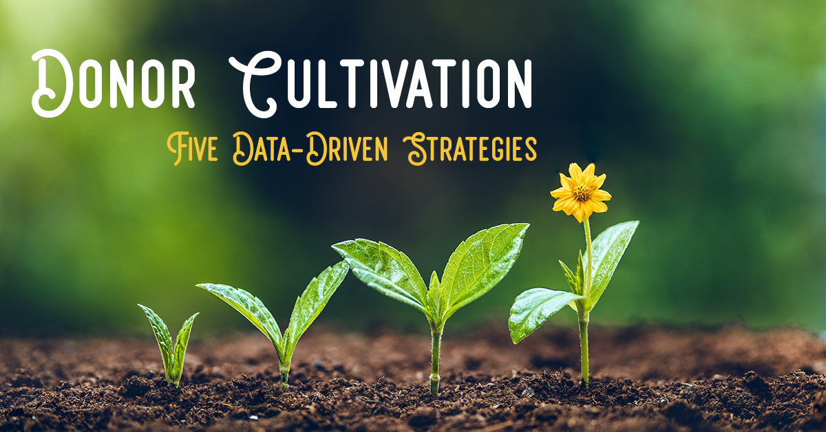 Donor Cultivation: 5 Data-Driven Strategies to Boost Retention | NextAfter